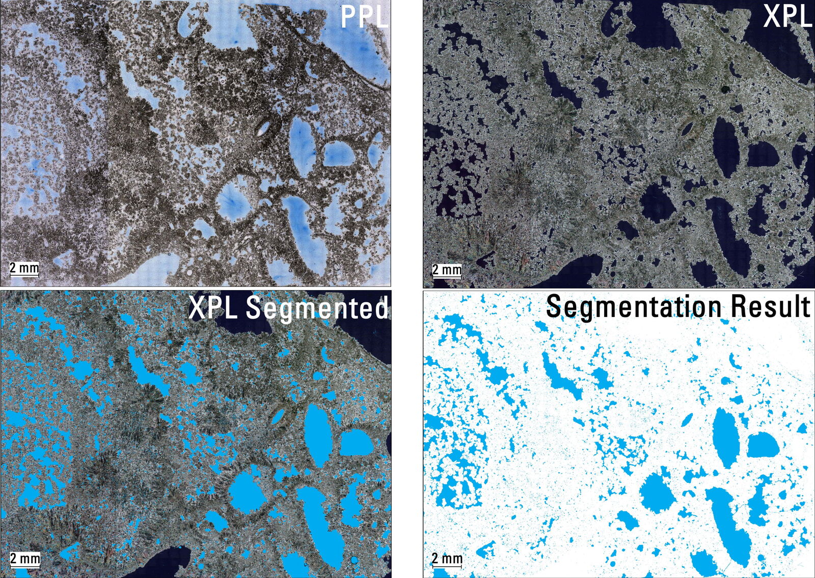Macroscale to Nanoscale Pore Analysis of Shale and Carbonate Rocks ...