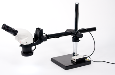 S4 E Entry Level Greenough Stereo Microscope for 3D Visualization ...