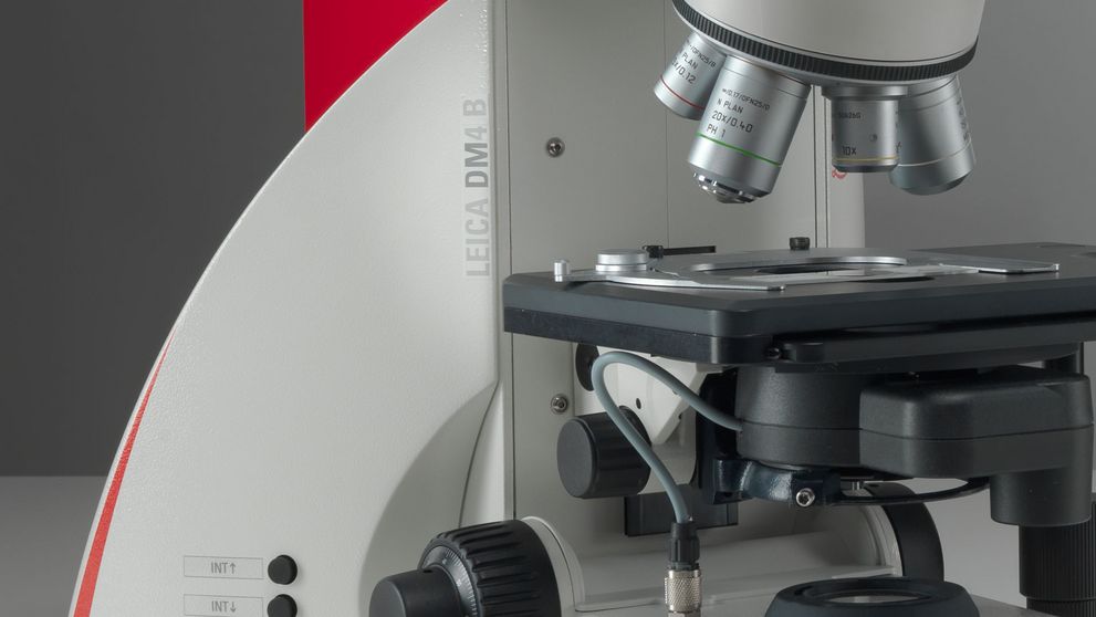 Upright Microscopes | Products | Leica Microsystems