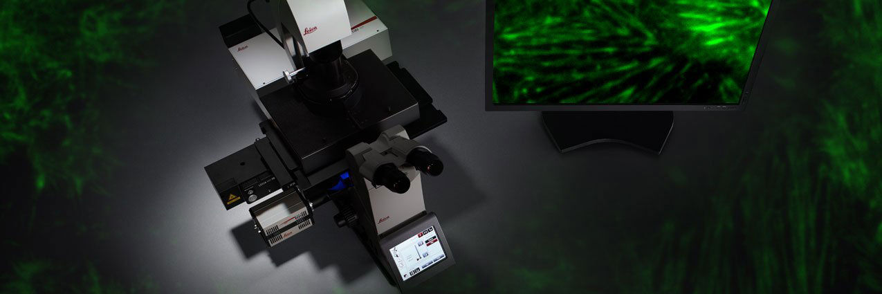 Application Suite | Products | Leica Microsystems