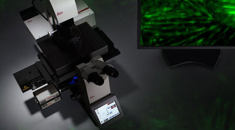 Microscope Imaging Software | Products | Leica Microsystems