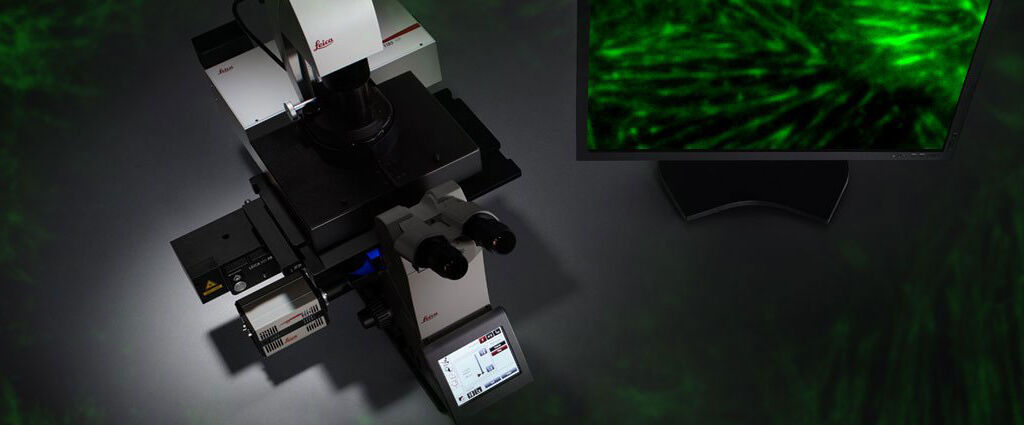 Microscope Imaging Software | Products | Leica Microsystems