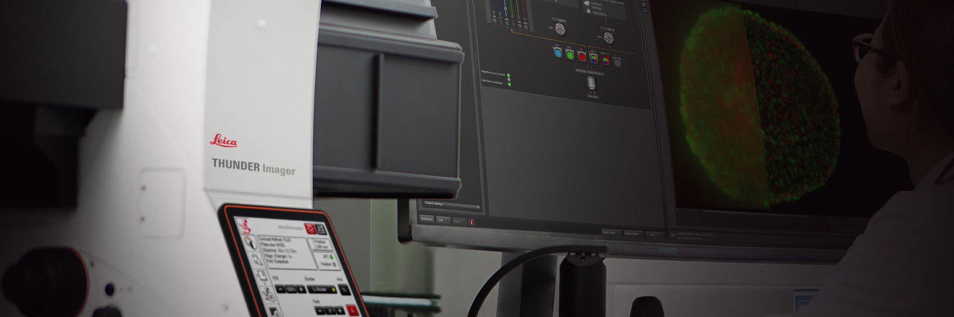 Live Cell Imaging | Applications | Leica Microsystems