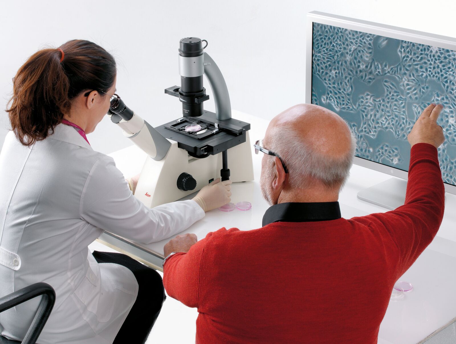 DMi1 Inverted Microscope for Cell Culture | Products | Leica Microsystems