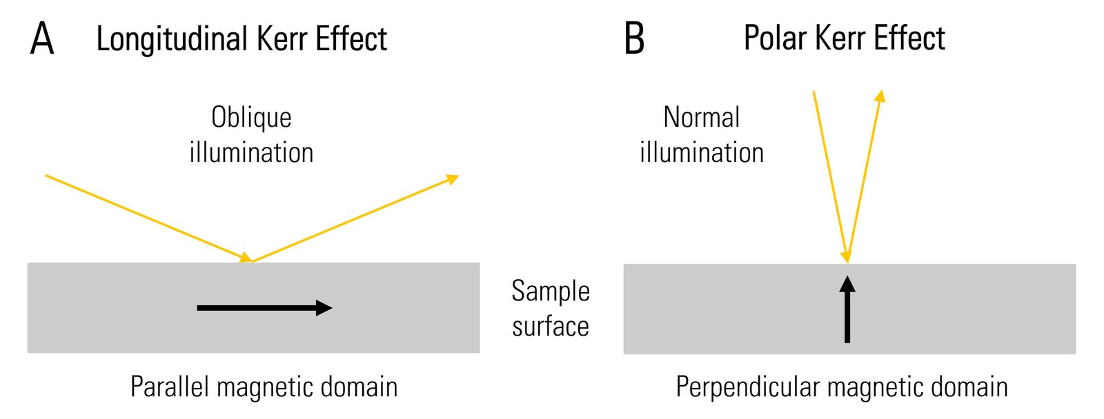 Rapidly Visualizing Magnetic Domains in Steel with Kerr Microscopy ...