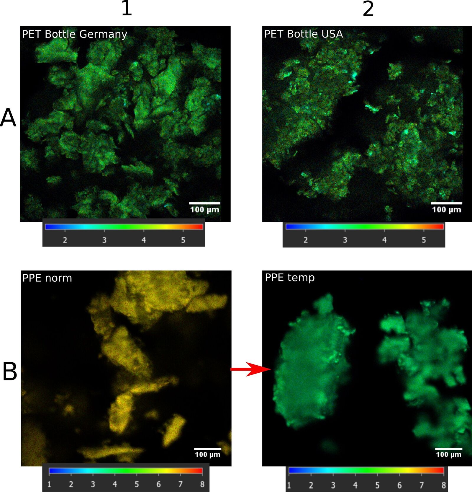 How FLIM Microscopy Helps to Detect Microplastic Pollution | Learn & Share | Leica Microsystems
