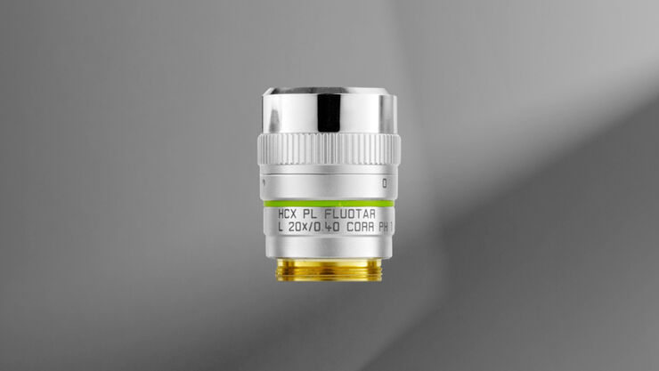 Objective Classes | Products | Leica Microsystems