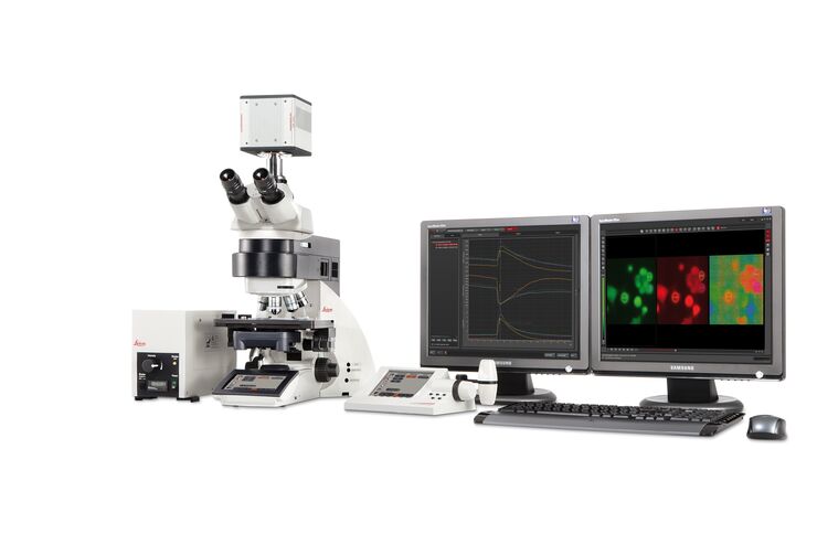 LAS X Widefield Systems Fluorescence Microscope System - Media ...