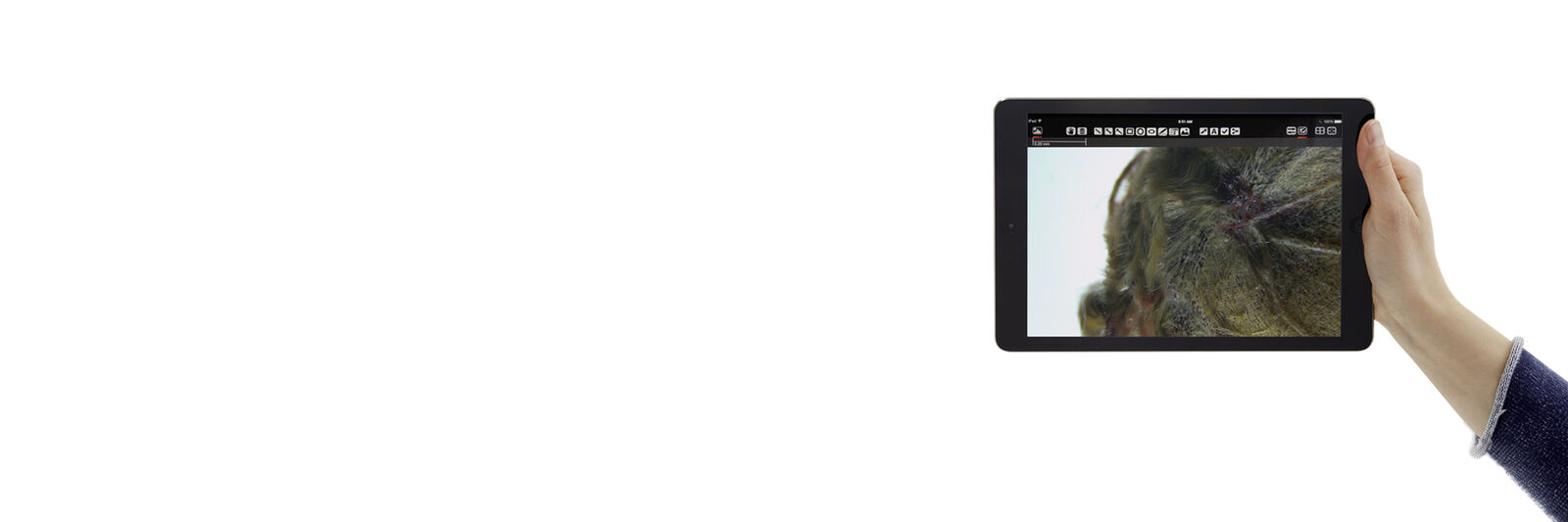 Leica EZ4 W & EZ4 E Educational stereo microscopes for college ...