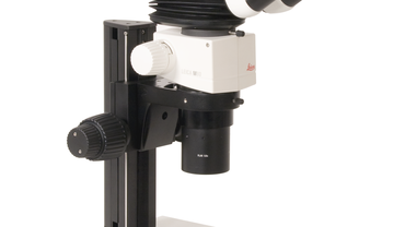 M50, M60 & M80 Routine stereo microscopes - Media | Products | Leica Microsystems