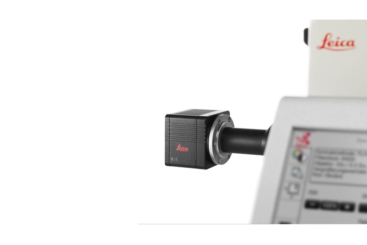 K5 sCMOS Microscope Camera | Products | Leica Microsystems