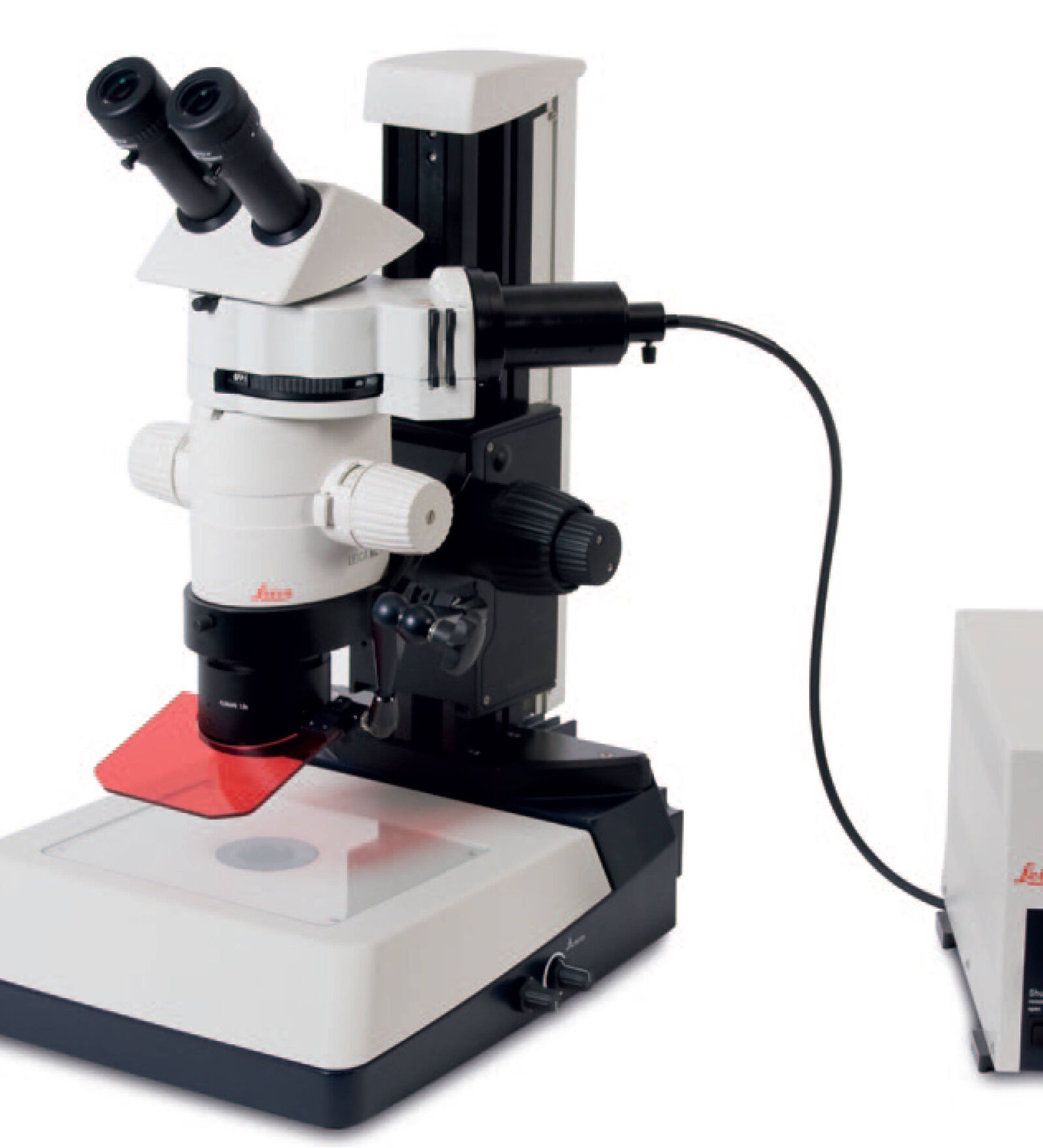 Imaging and Analyzing Zebrafish, Medaka, and Xenopus | Learn & Share ...