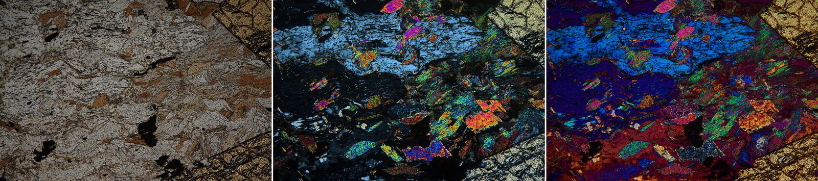 Polarizing Microscope Image Gallery | Learn & Share | Leica Microsystems