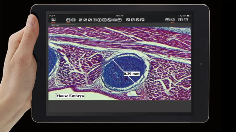 Educational Microscopes | Applications | Leica Microsystems