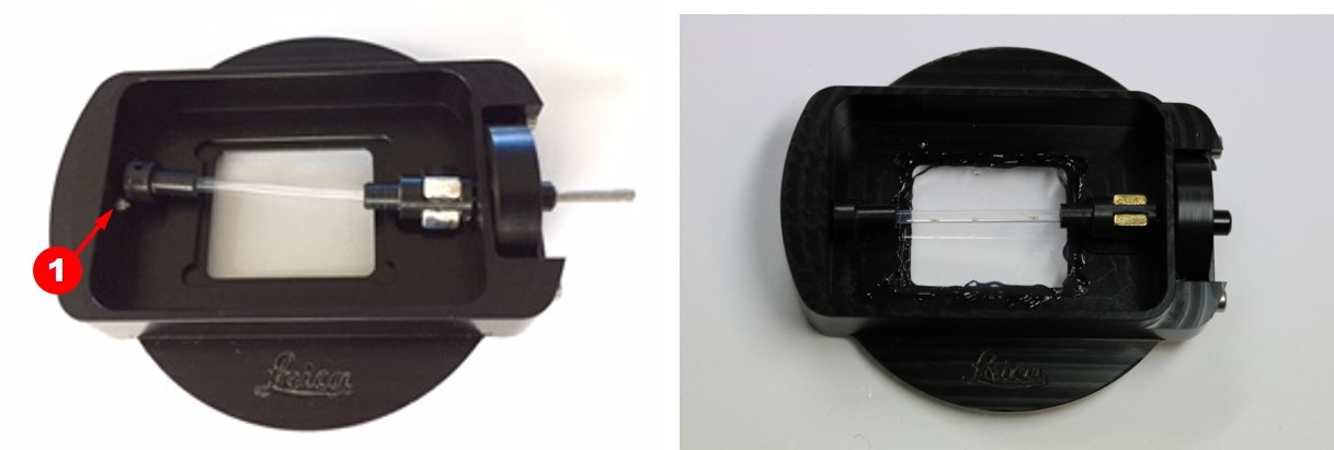 Using a Rotation Device for Light Sheet Sample Mounting | Learn & Share ...