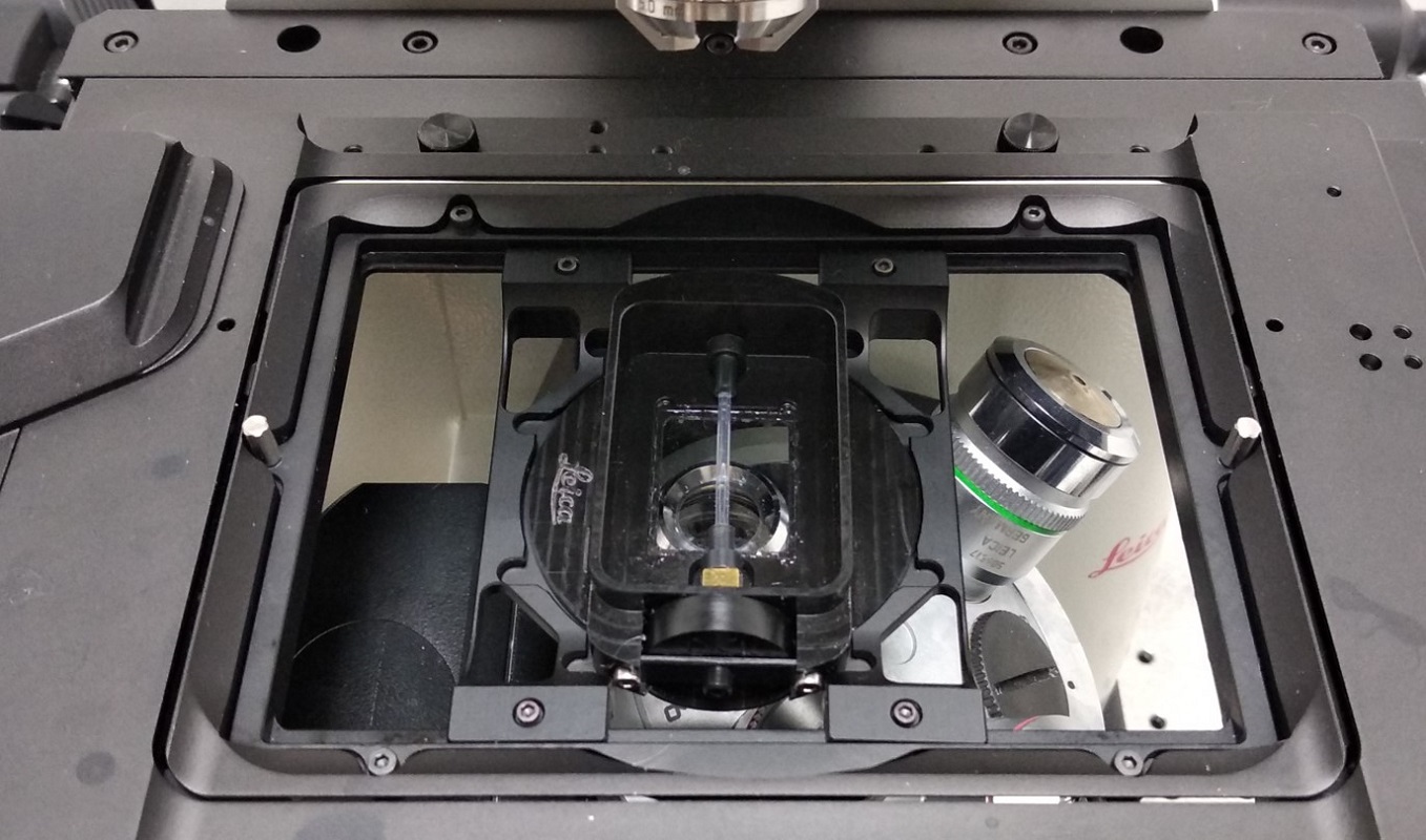 Using a Rotation Device for Light Sheet Sample Mounting | Learn & Share ...