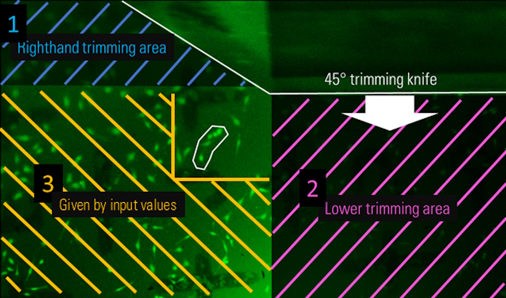 How to Automatically Obtain Fluorescent Cells of Interest in a Block ...
