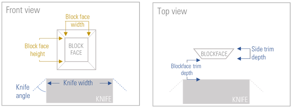 How to Automatically Obtain Fluorescent Cells of Interest in a Block ...