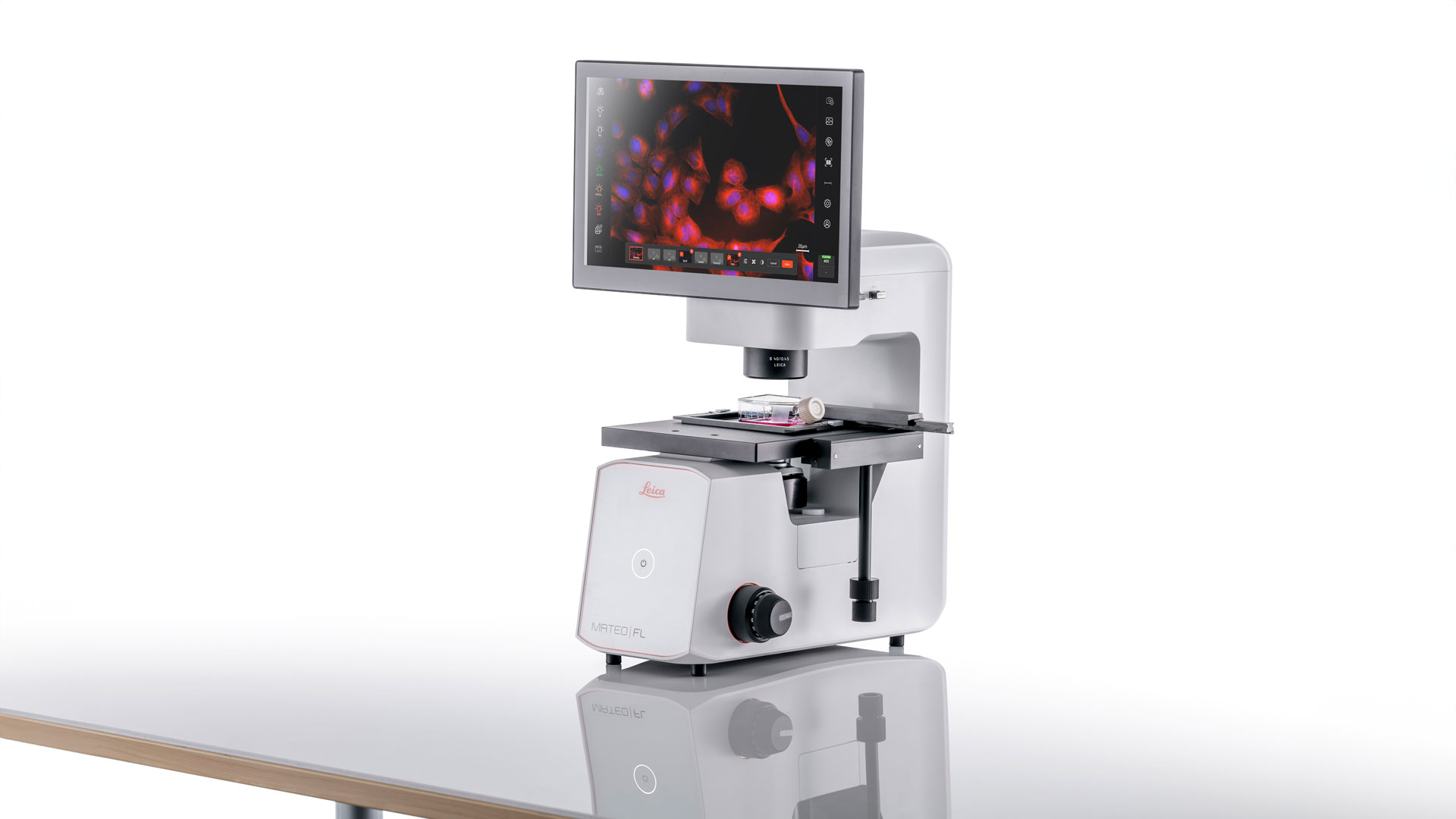 Mateo FL for Fluorescence Cell Culture Advanced Package | Products | Leica Microsystems