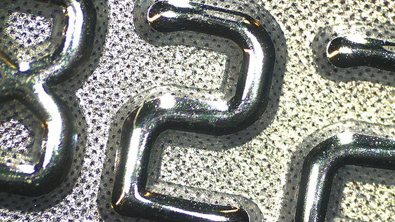 EZ4 Educational stereo microscope for beginners in college and ...