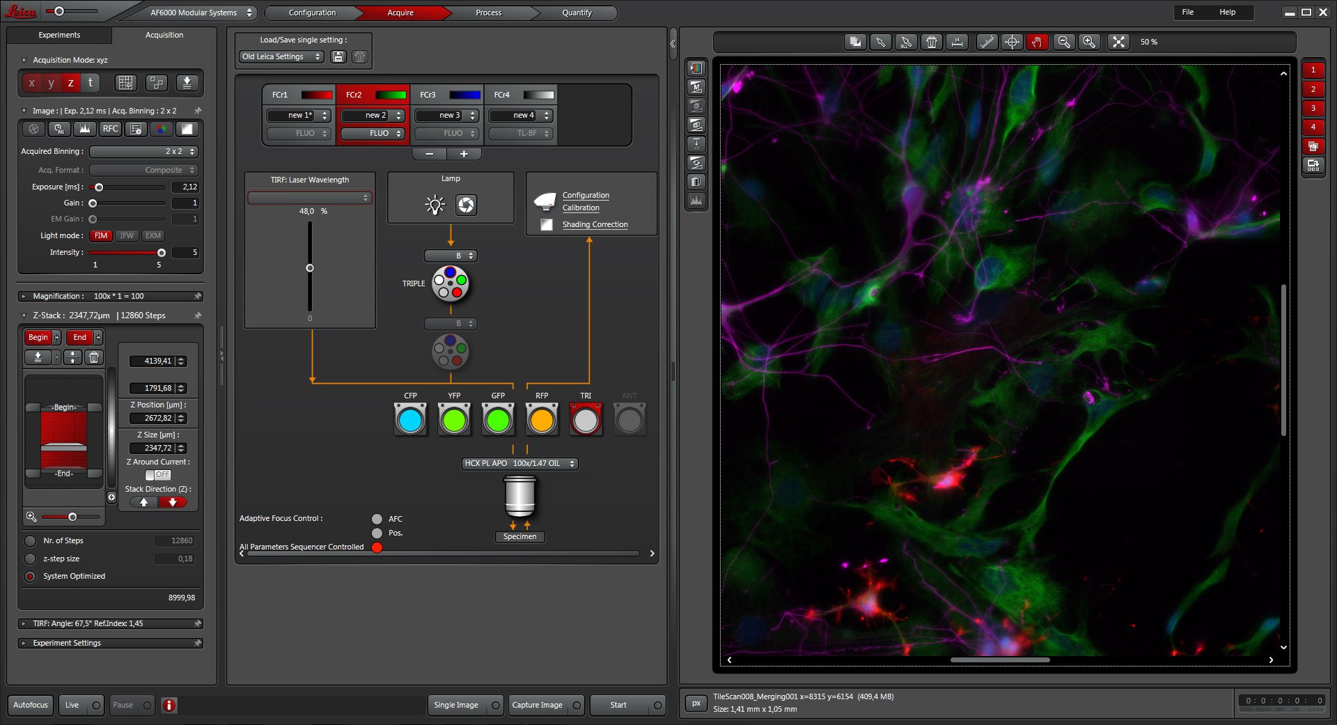 MZ10 F Modular Stereo Microscope | Products | Leica Microsystems