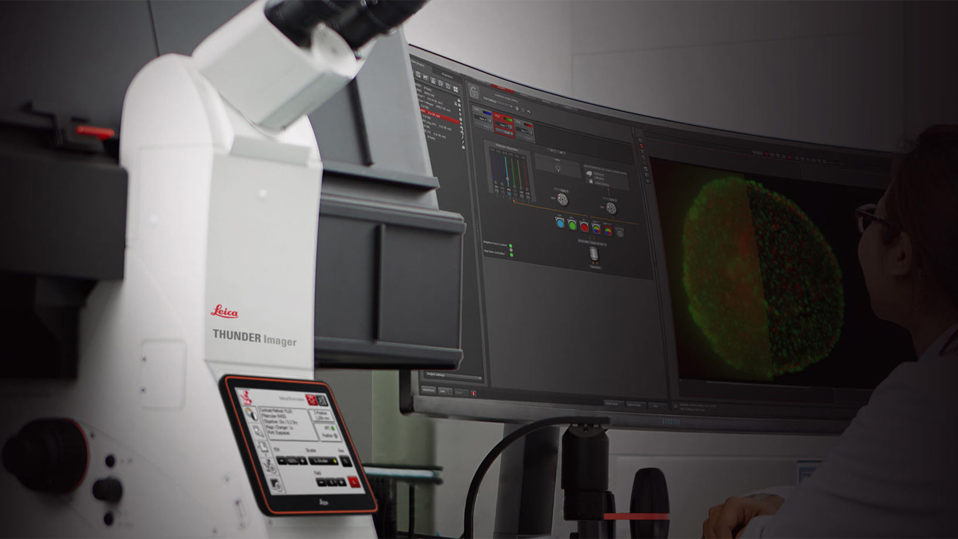 Imagerie des cellules vivantes | Applications | Leica Microsystems