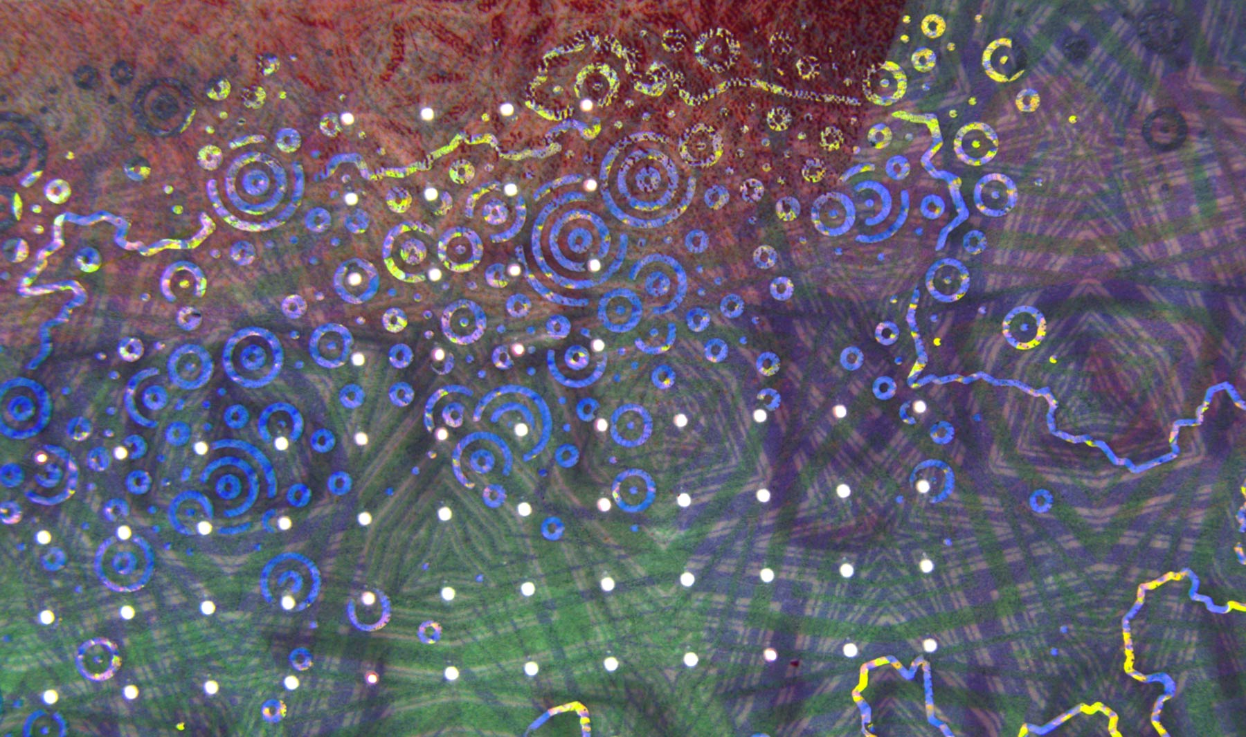 K5C The Color CMOS Camera | Products | Leica Microsystems