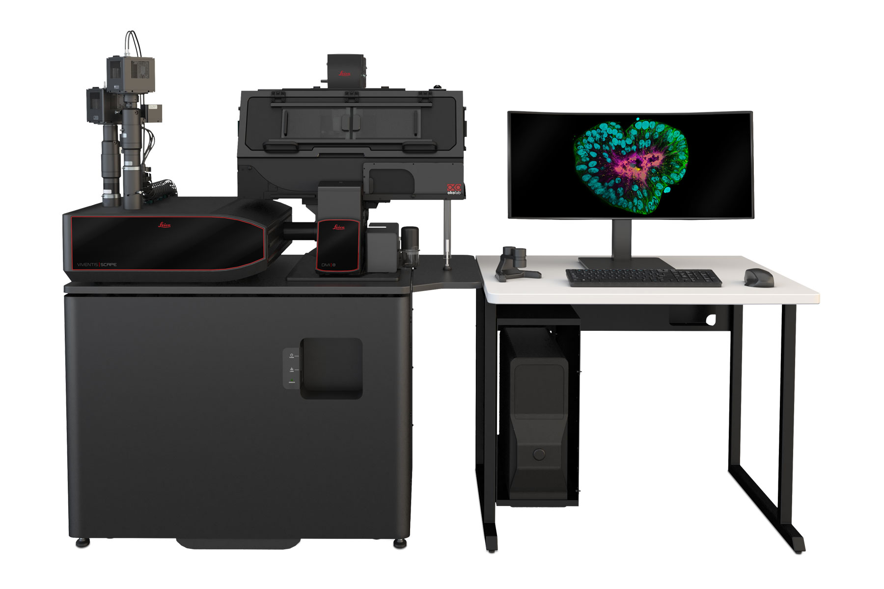 Viventis SCAPE Single Objective Light Sheet Microscope - Downloads ...