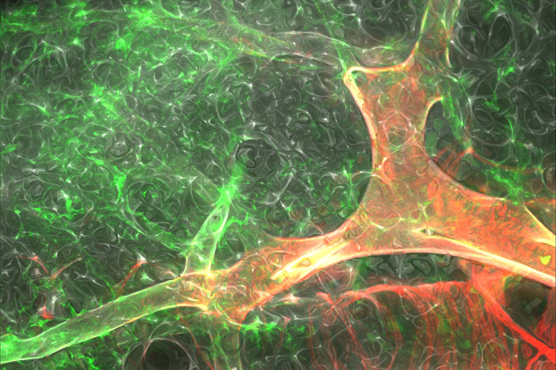 Leica LMD6 & LMD7 Laser Microdissection Microscopes | Products | Leica ...