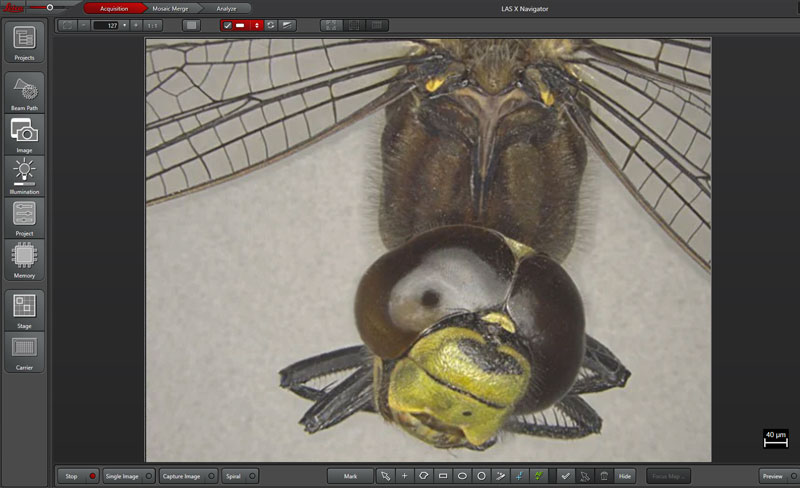 Leica - LAS X Life Science Microscope Software Platform - Histocenter