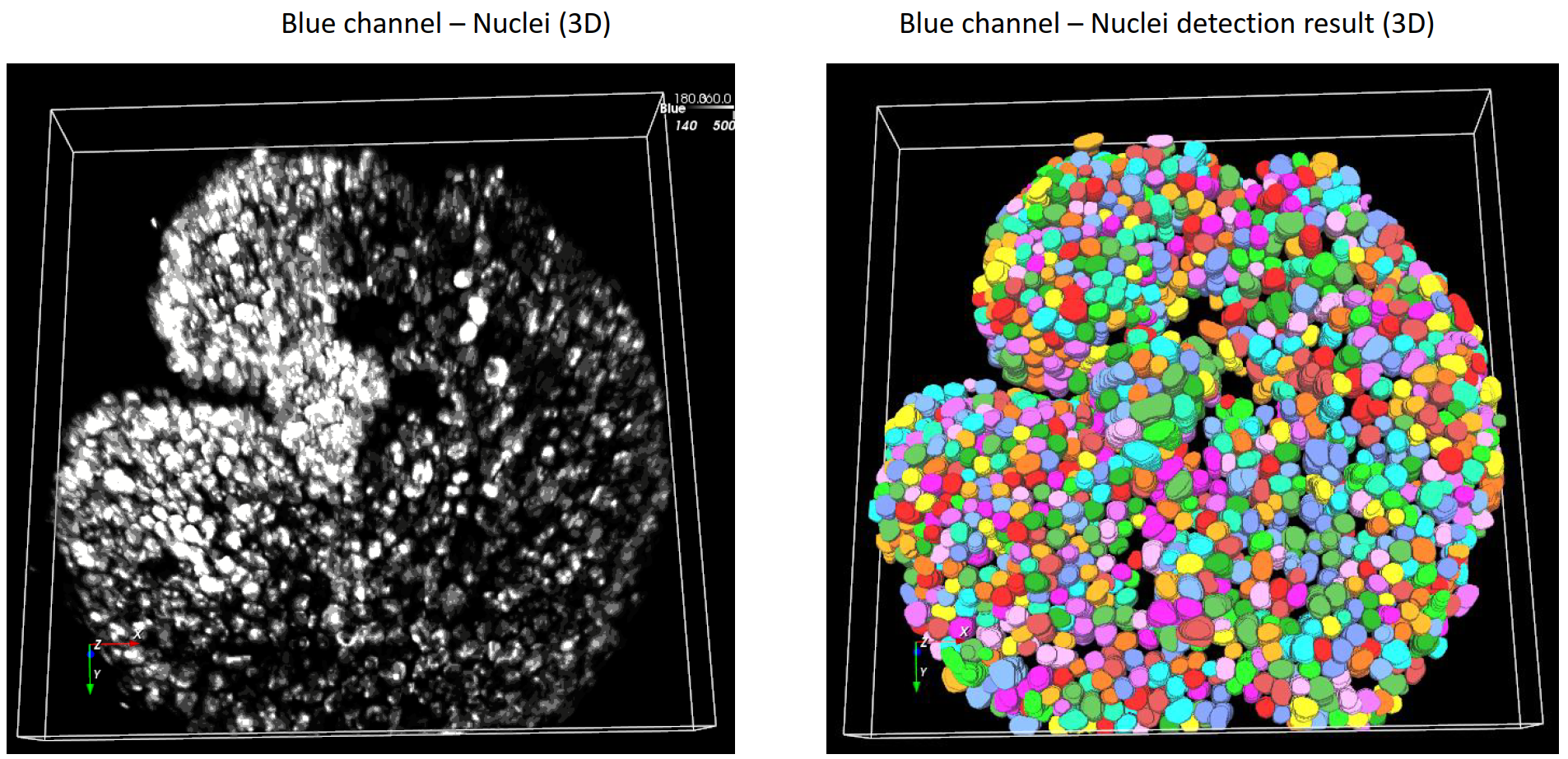 Aivia AI Image Analysis Software | Products | Leica Microsystems