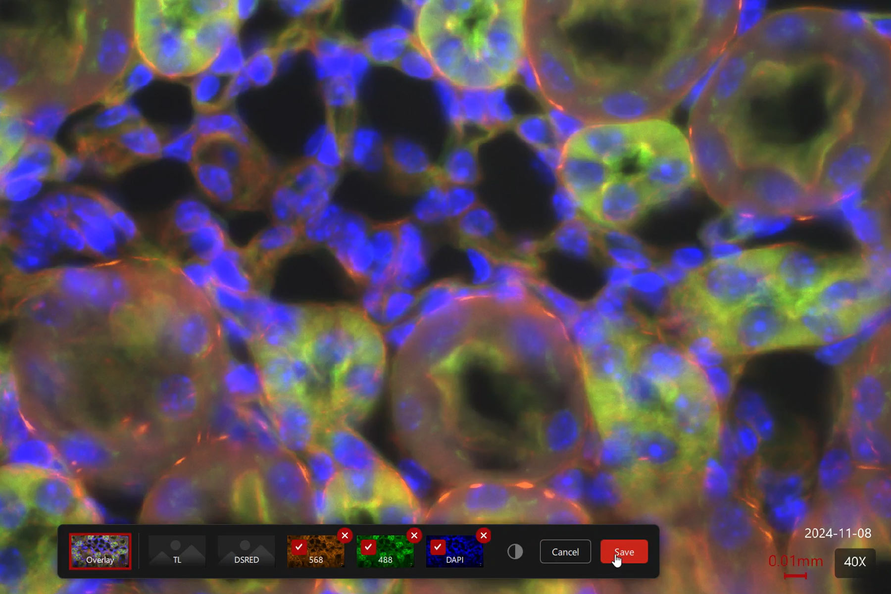 Enersight Microscope Software Platform | Products | Leica Microsystems