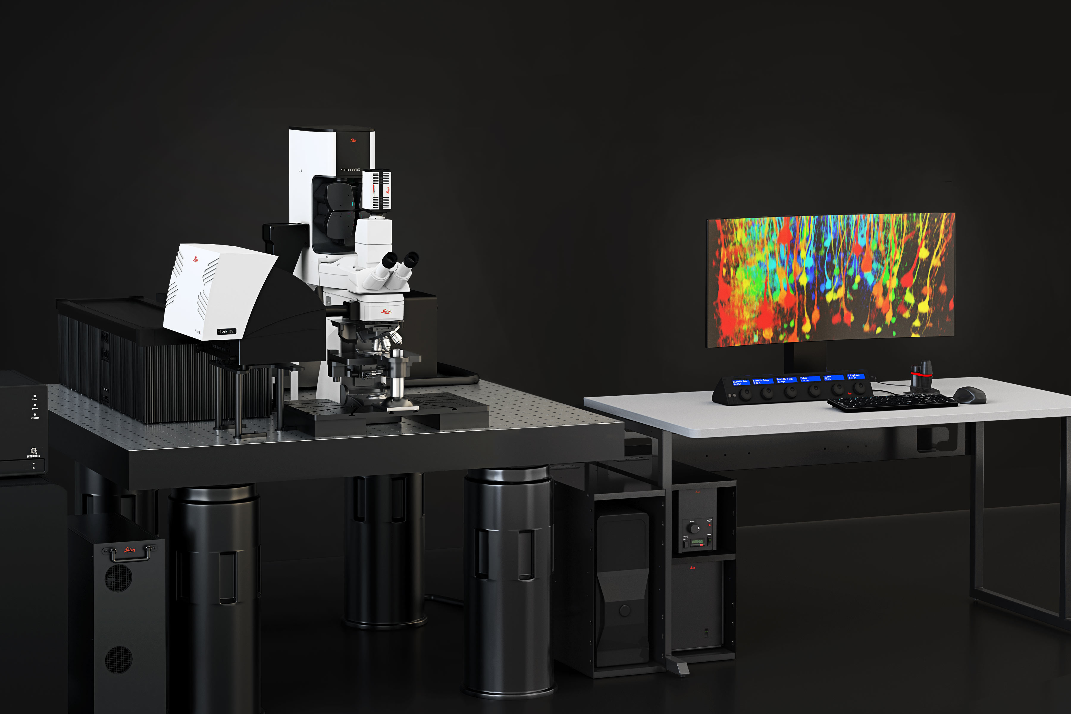 STELLARIS DIVE Multiphoton Microscope | Products | Leica Microsystems
