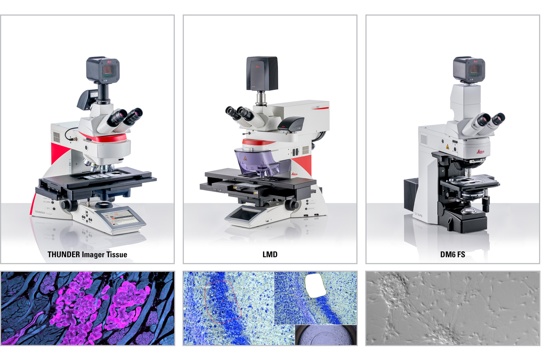 DM4 B & DM6 B Upright Microscopes | Products | Leica Microsystems